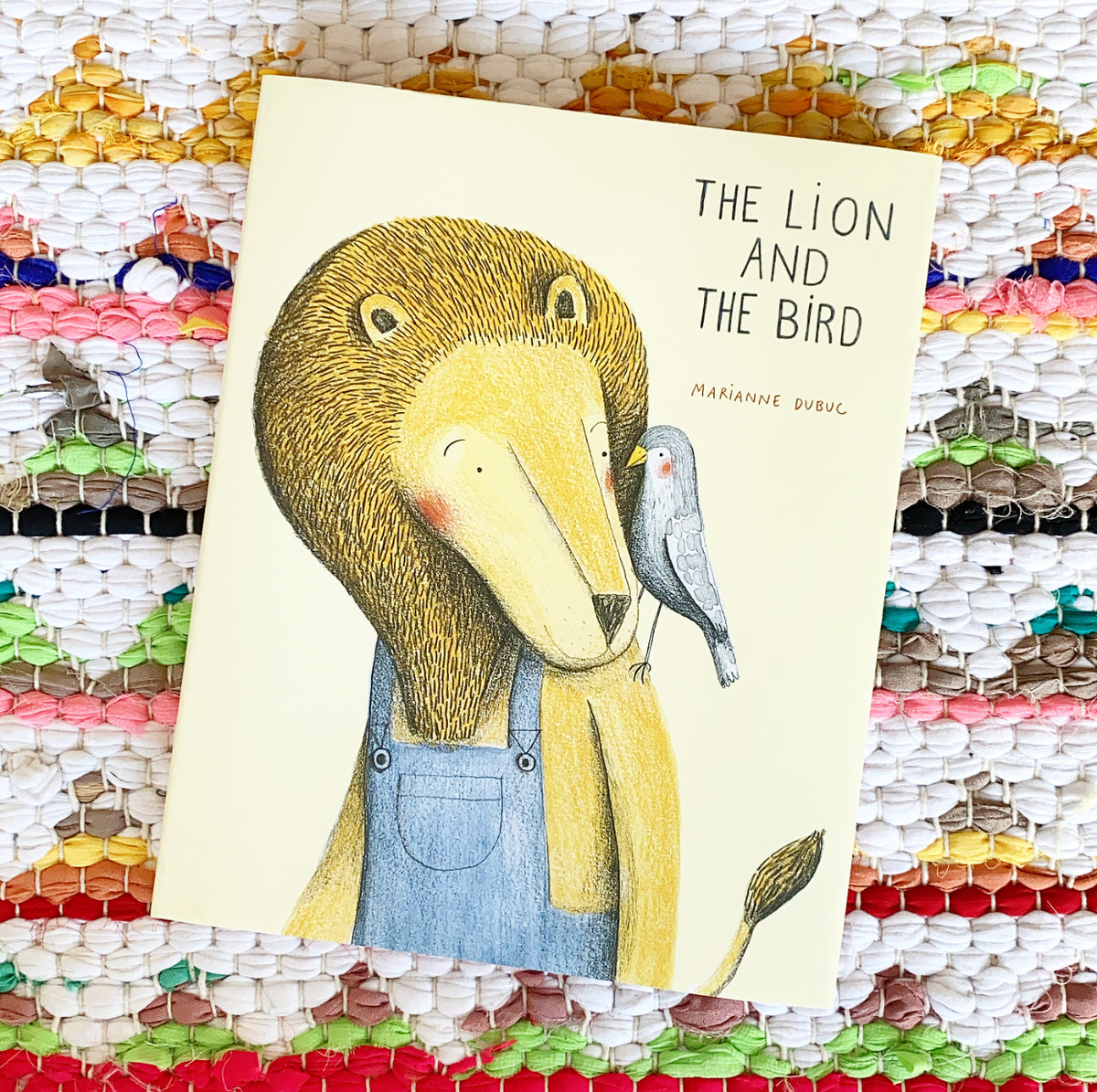 The Lion and the Bird | Marianne Dubuc – Brave + Kind Bookshop