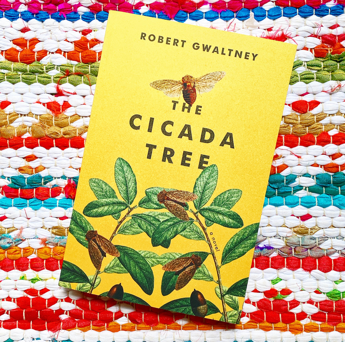 The Cicada Tree | Robert Gwaltney – Brave + Kind Bookshop